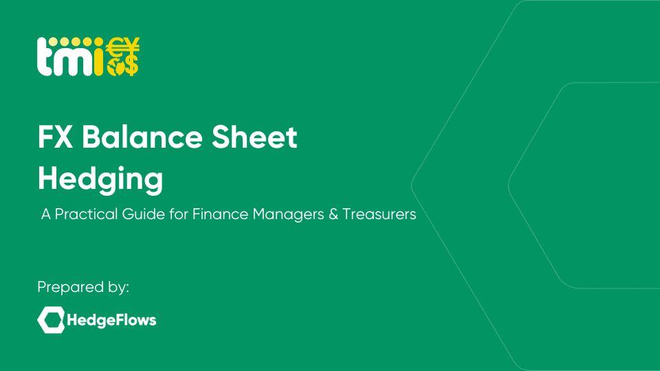 Learn about Balance Sheet Hedging - FX & Treasury Academy
